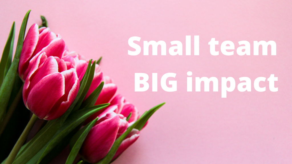 Small team, BIG impact - Rose Media Group